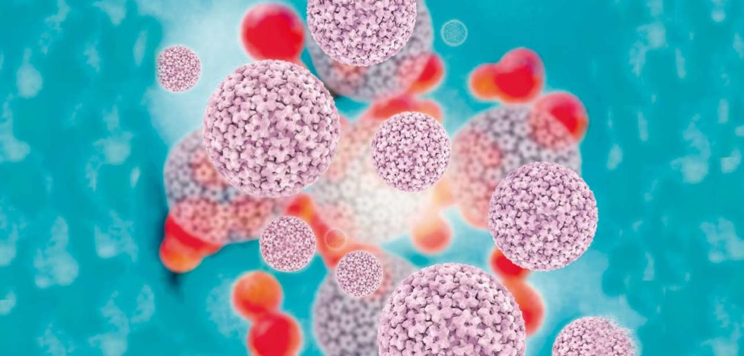 Virus del Papiloma Humano: síntomas y diagnóstico - Meditip