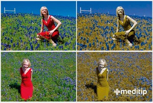 Daltonismo: definición, tipos y diagnóstico - Meditip