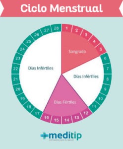 ¿Qué es la menstruación? - Meditip