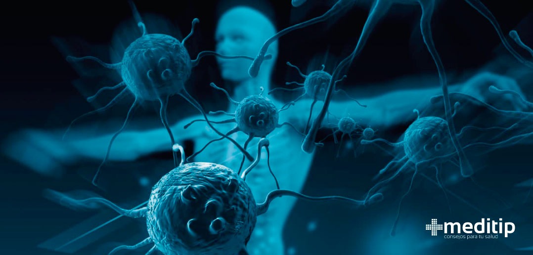 Sustancias inflamatorias: mediadores de la inflamación - Meditip