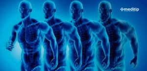 Composición corporal: definición, función y análisis - Meditip