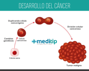 Tipos de cáncer y su desarrollo en el cuerpo - Meditip, el portal de la ...