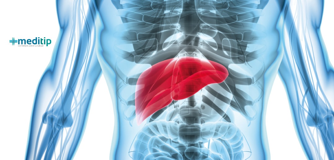 Función del hígado: síntomas de enfermedad hepática - Meditip