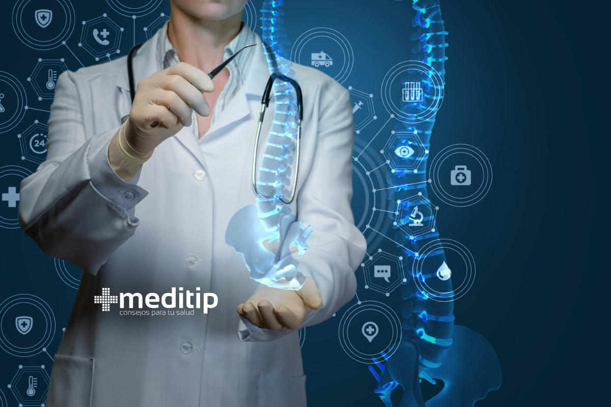 Ortopedia para principiantes: estructura del cuerpo humano fácil