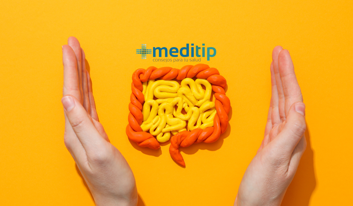 Alimentos para mejorar tu salud intestinal - Meditip